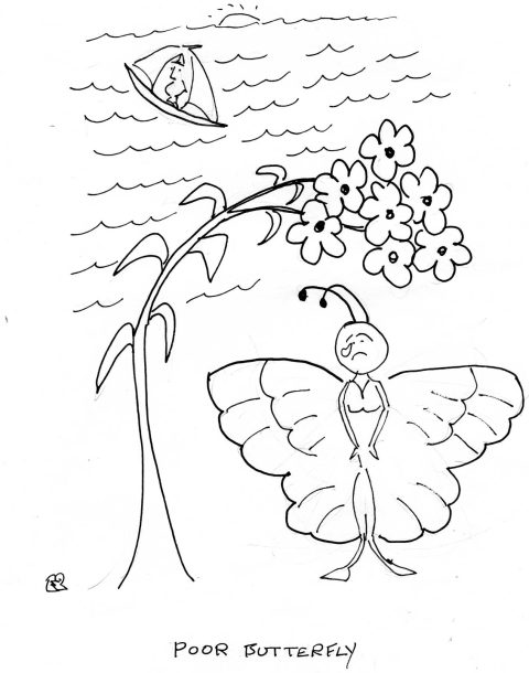 Poor Butterfly | Song Cartoons